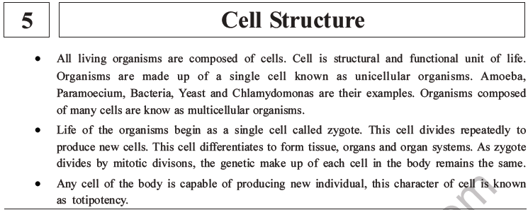 NEET Biology Cell Structure and Function MCQs Set B with Answers
